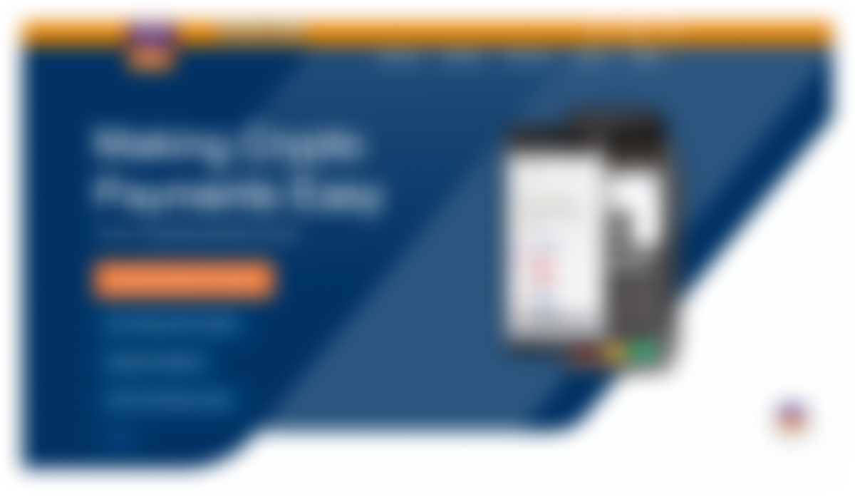 Custom Web Software Development & IT Consultation